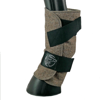 Benecura - Mauke Pferd