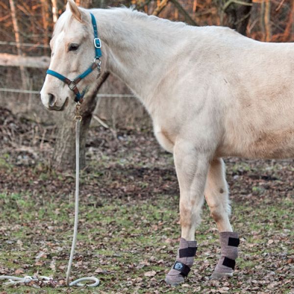 Benecura - Mauke Pferd